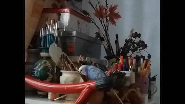 Наши зверушки: сиамский кот Анди, волнистый попугайчик Ромка и сиба ину Наоко