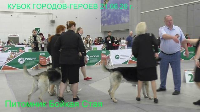 Питомник Бойкая Стая