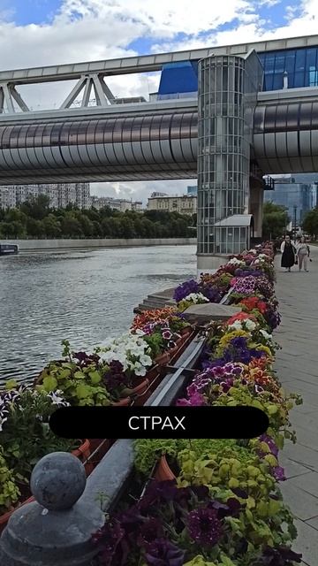 🚨 Сотрудники перестали спорить — это может быть тревожным сигналом.