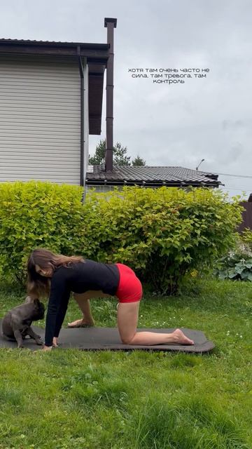 Спорт