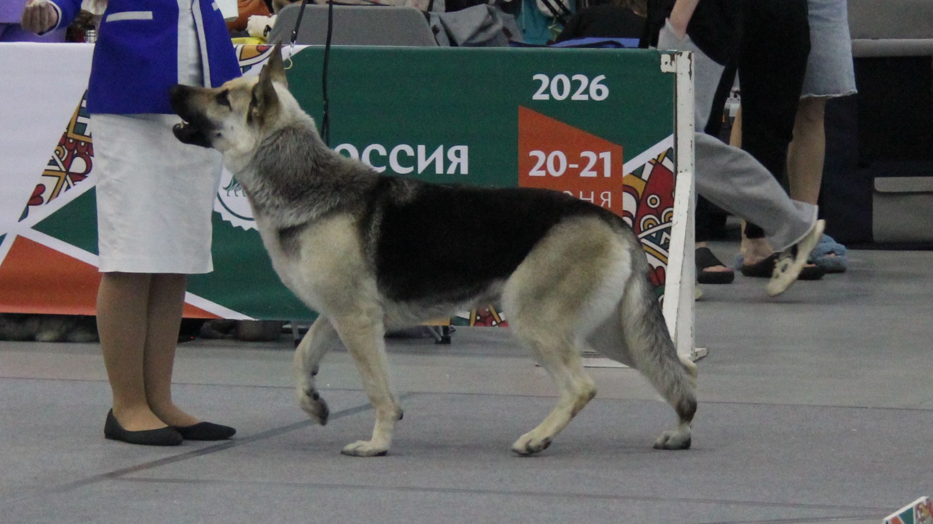 Эст Бриз Ниагара