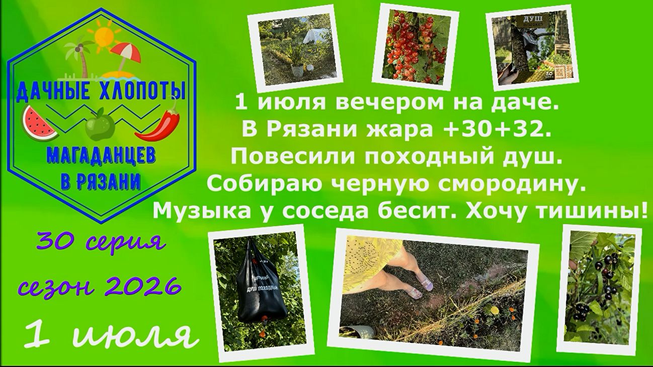 1 июля вечером на даче.В Рязани жара +32.Повесили душ.Собираю черную смородину.Музыка у соседа бесит