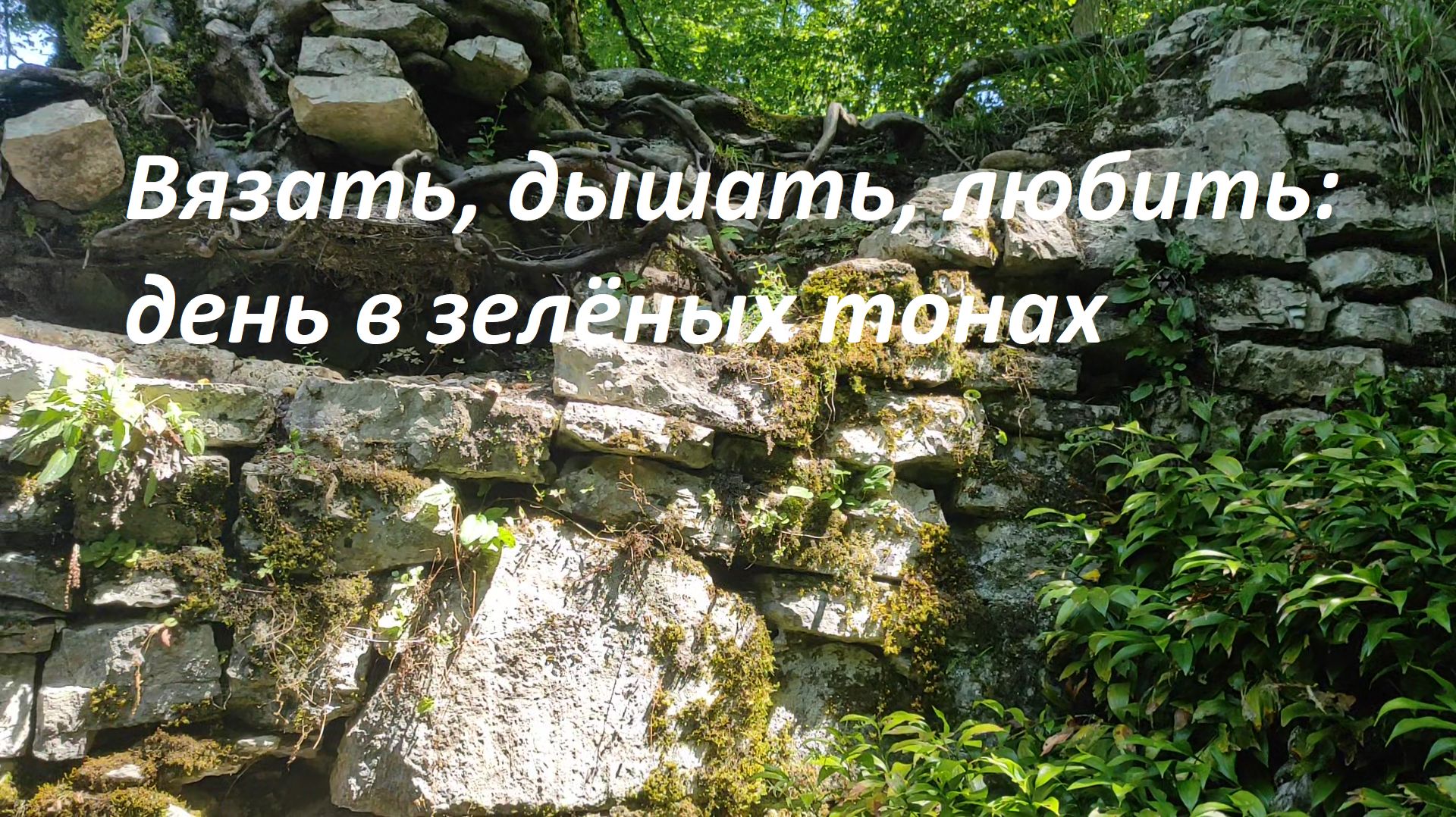 Влог. Летний день: коврик, панамка и прогулка в роще. Куда пойти в Сочи.