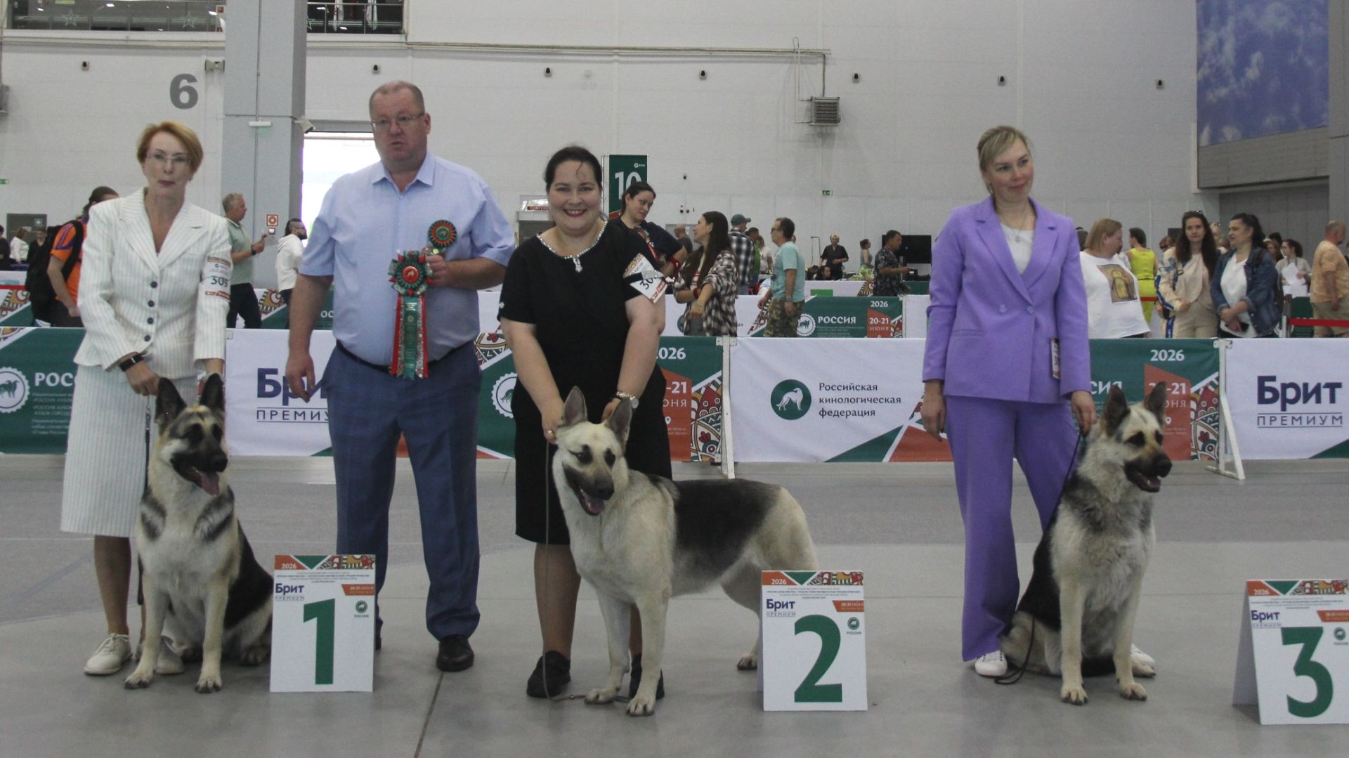 Расстановка класса чемпионов