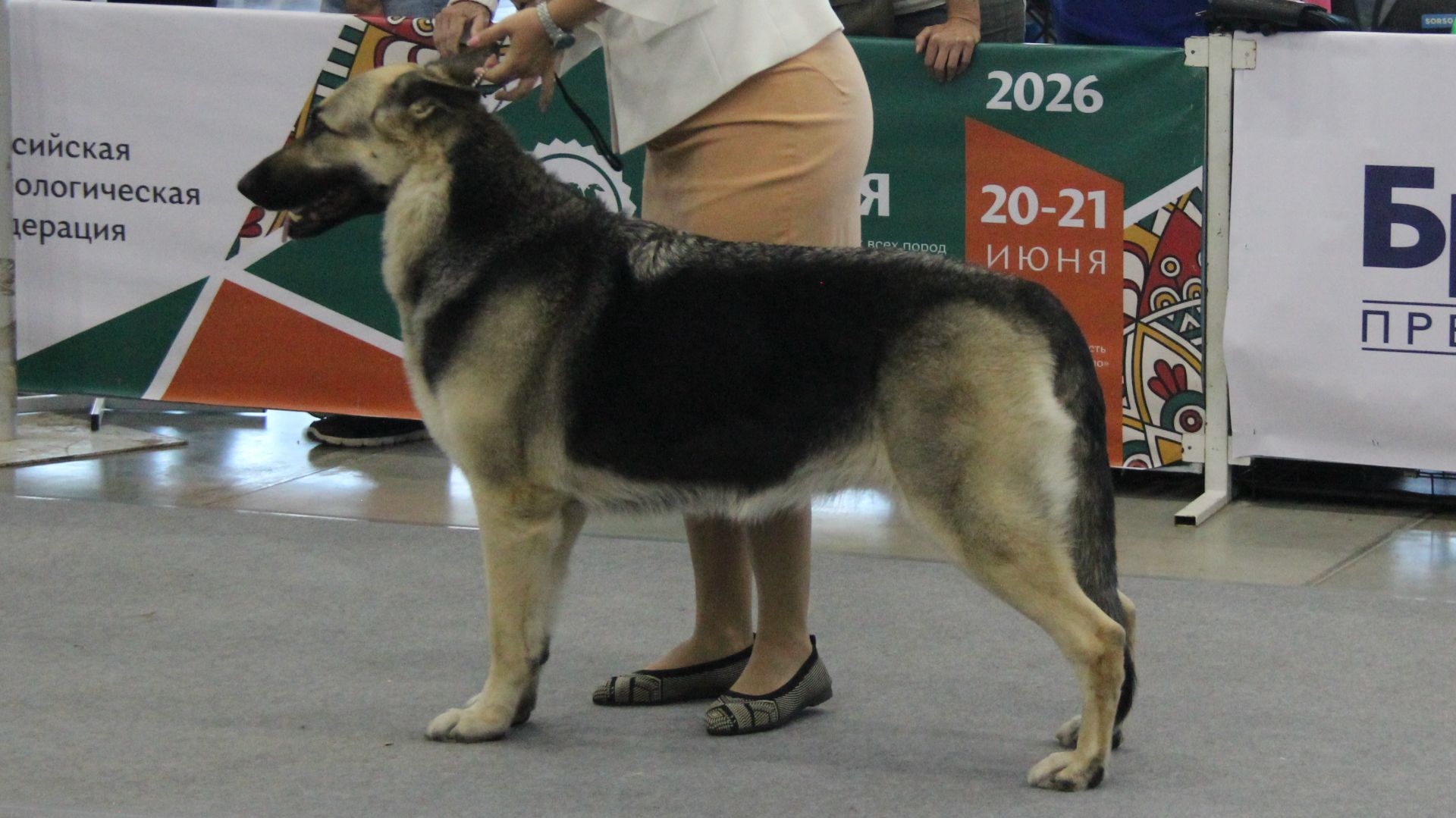 Моншер Вирсаль Фореста