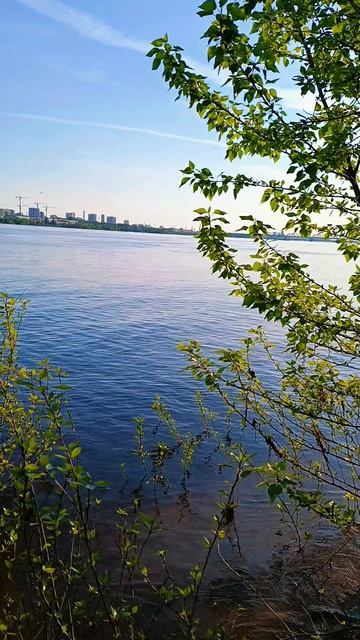 Звуки природы для сна: шум дождя, леса и моря