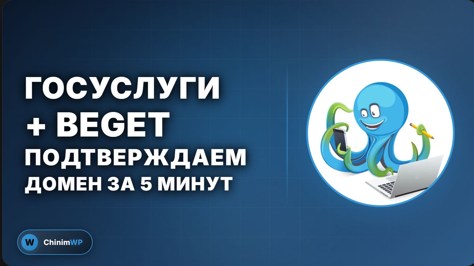 Как подтвердить домен на Бегете через Госуслуги | Инструкция для физлиц