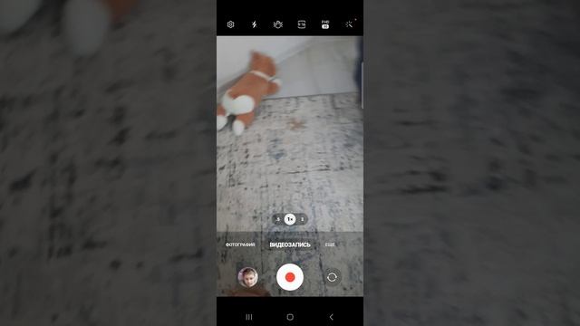 влог капибар часть 3