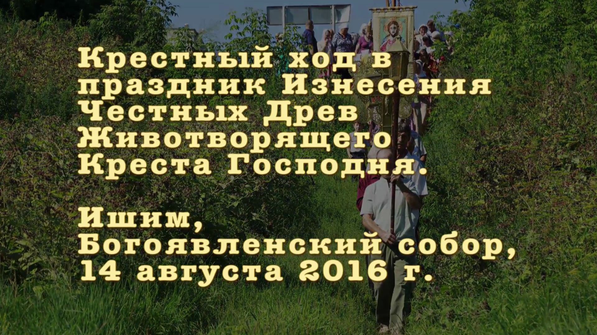 2016 год