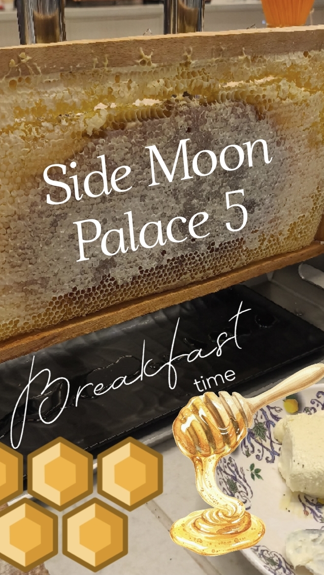Мёд в сотах на завтрак в Side Moon Palace. Отдых в Турции летом 2026. Завтрак.