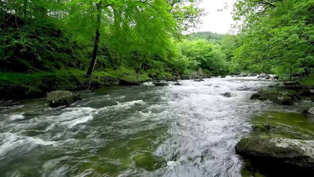 Дзен у огня и воды