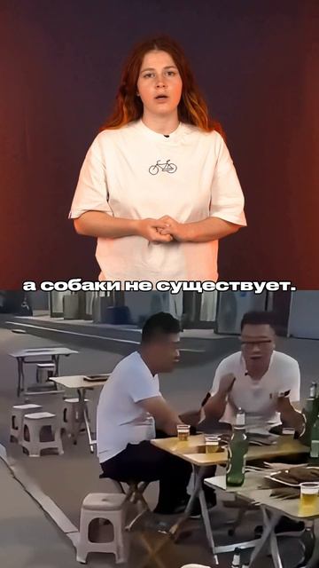 ЧТО С ЛАПАМИ У СОБАКИ?! разбираем фейк