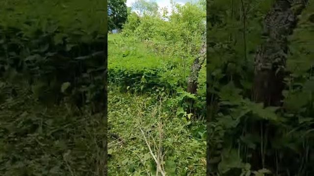 Видео объектов