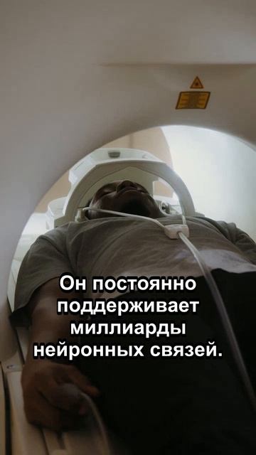 Почему мозг тратит 20% энергии ничего не делая?