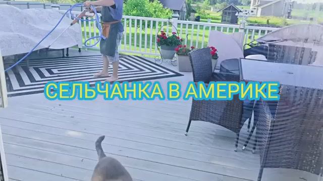 США НАША ЖИЗНЬ НА ХУТОРЕ МОЮ ДОМ ХОЗЯЙСТВО