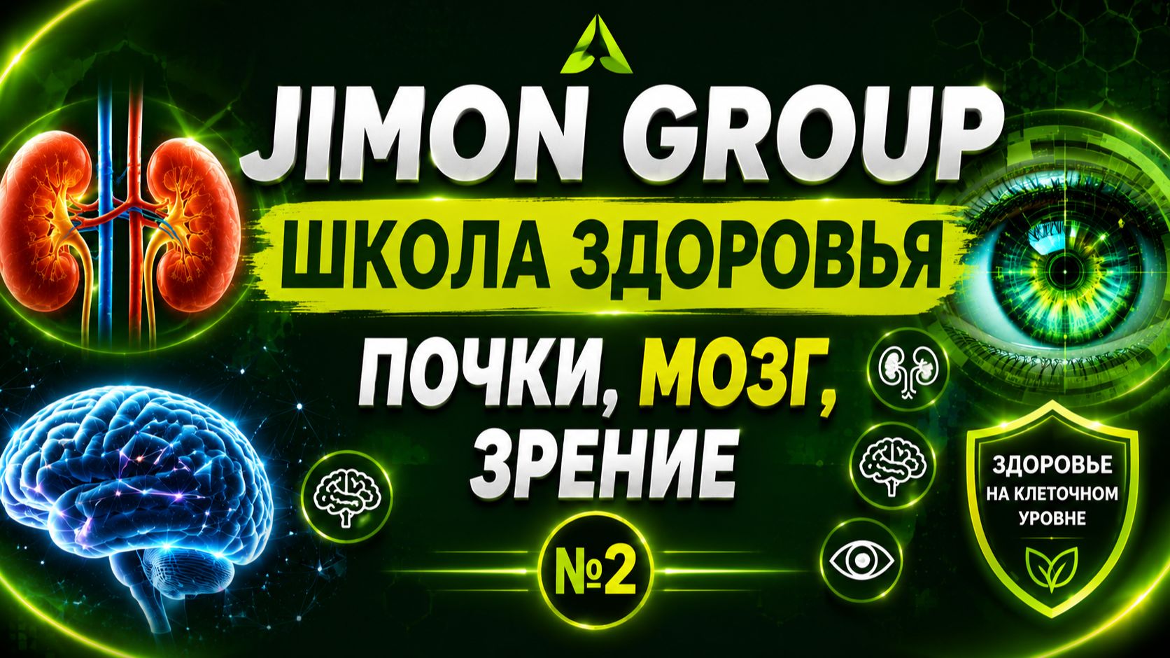 JIMON GROUP | Почки, мозг, зрение | Школа здоровья №2