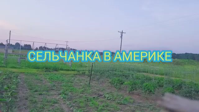 ПРЕКРАСНАЯ ЖИЗНЬ В АМЕРИКЕ