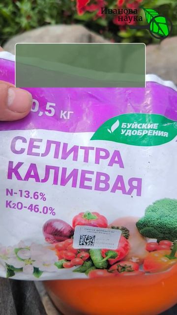 😱 Вся КАРТОШКА чистая и крупная! ✨ Секрет подкормки в ИЮЛЕ 🥔👑 Царский урожай картофеля.