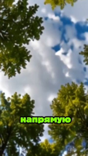 Аффирмация на успех