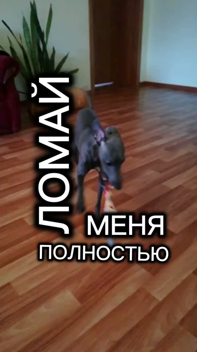 МЕМ ЛОМАЙ МЕНЯ ПОЛНОСТЬЮ