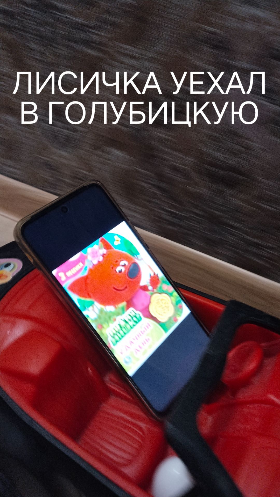 ЛИСИЧКА УЕХАЛ В ГОЛУБИЦКУЮ