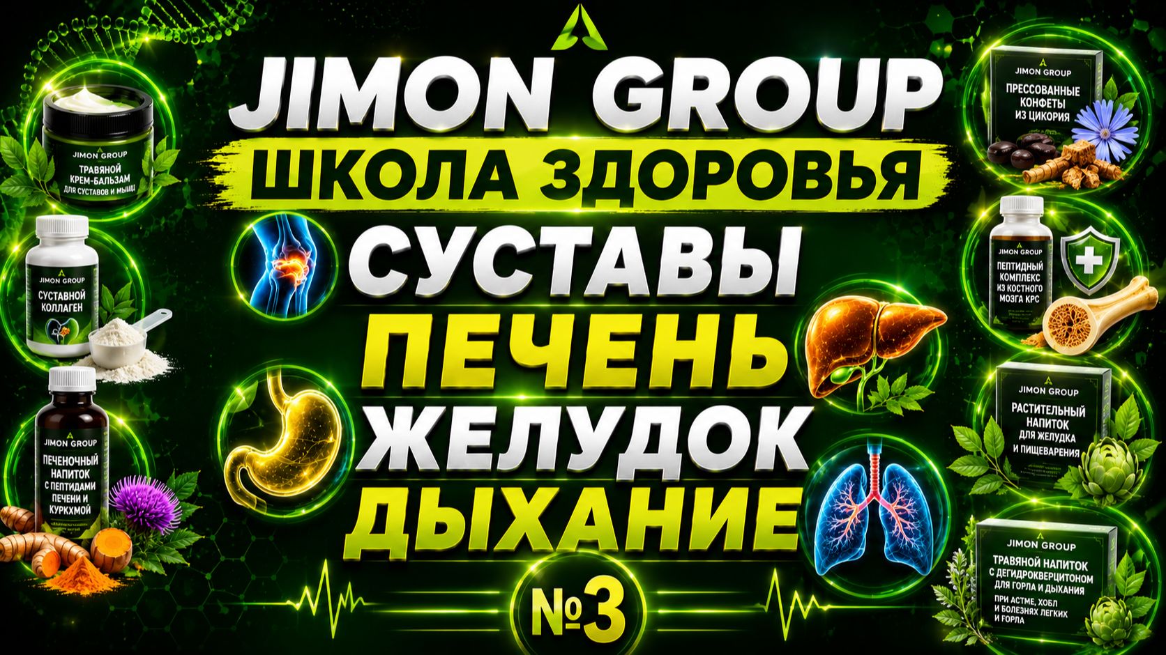 JIMON GROUP | Суставы, печень, желудок и дыхание | Школа здоровья №3