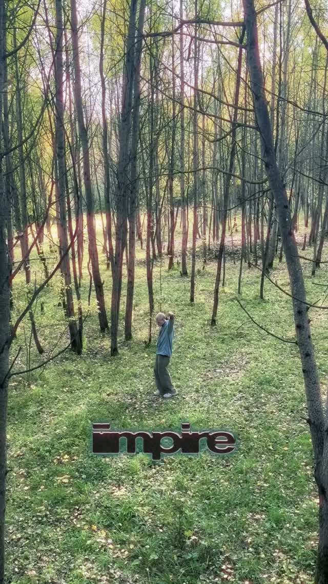 snippet