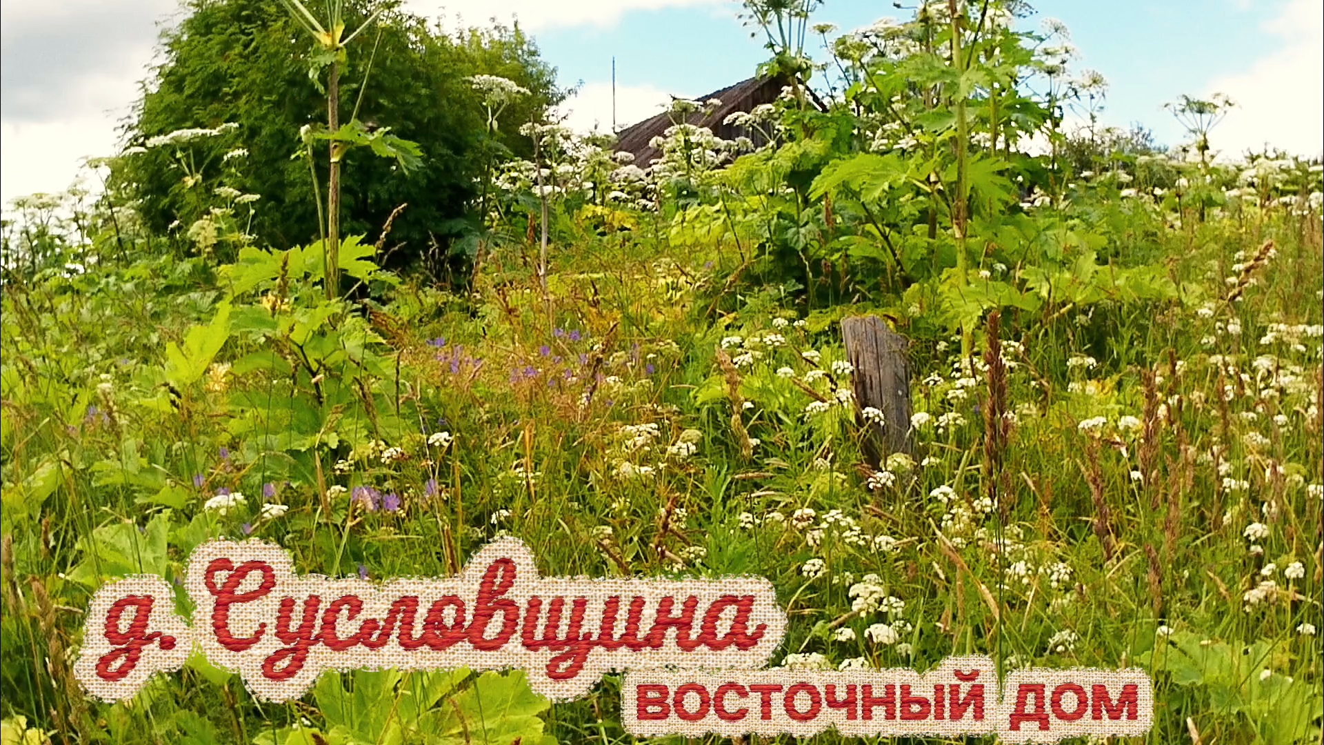 Деревня Сусловщина, восточный дом.mp4