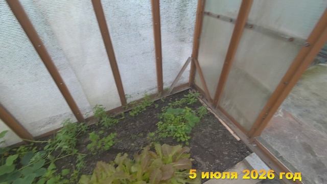 Дача Лето 2026 год. Июнь, Июль, Август