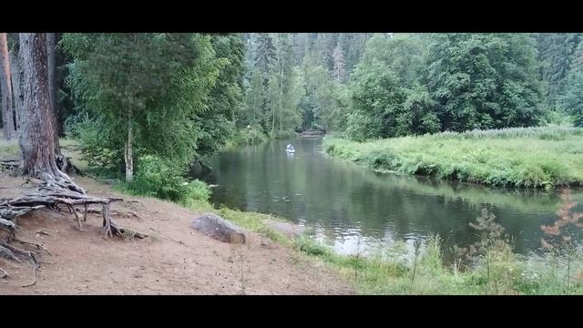 Суйда - Сиверский - Оредеж - Озеро - Рождествено - Выра - Гатчина, путешествие по Ленинградской обл