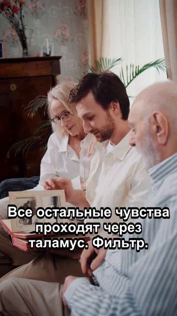 Как запах возвращает воспоминания из детства?