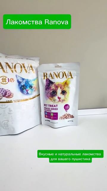 Будни «Мистер Гав» 🐶