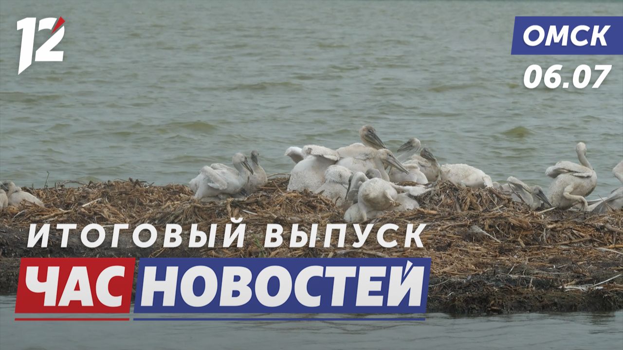 Пеликаны / Рейд по диким пляжам / Новички Авангарда. Новости Омска
