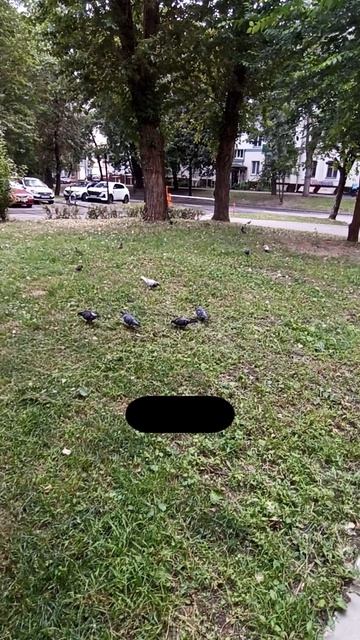 🚨 Как теряют клиентов?