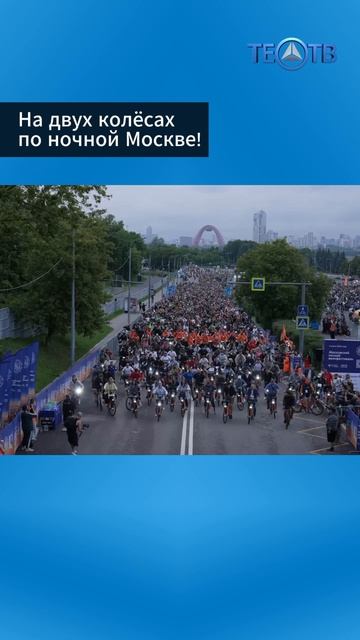 ТЕО ТВ Представляет