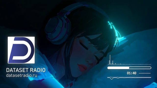 DATASET RADIO - голоса в голове