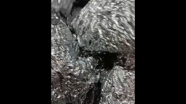 Жаккард костюмный