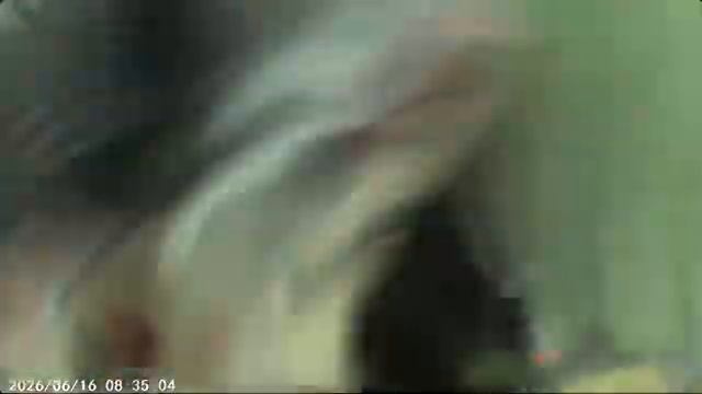 Komputersem визжит и долбит по столу из-за ошибки с жёстким диском 16062026 [get.gt]