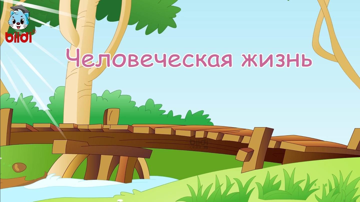 Человеческая жизнь
