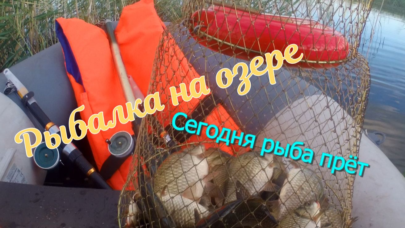 Рыбалка на озере. Сегодня карась на удочку клюёт отлично