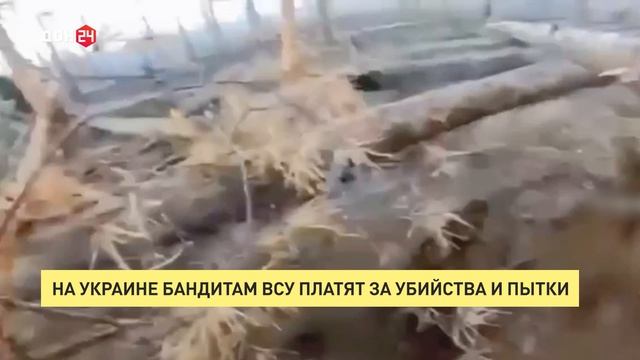 На Украине бандитам ВСУ платят за убийства и пытки