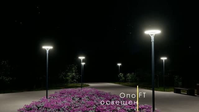 ООЛ №6 Соло