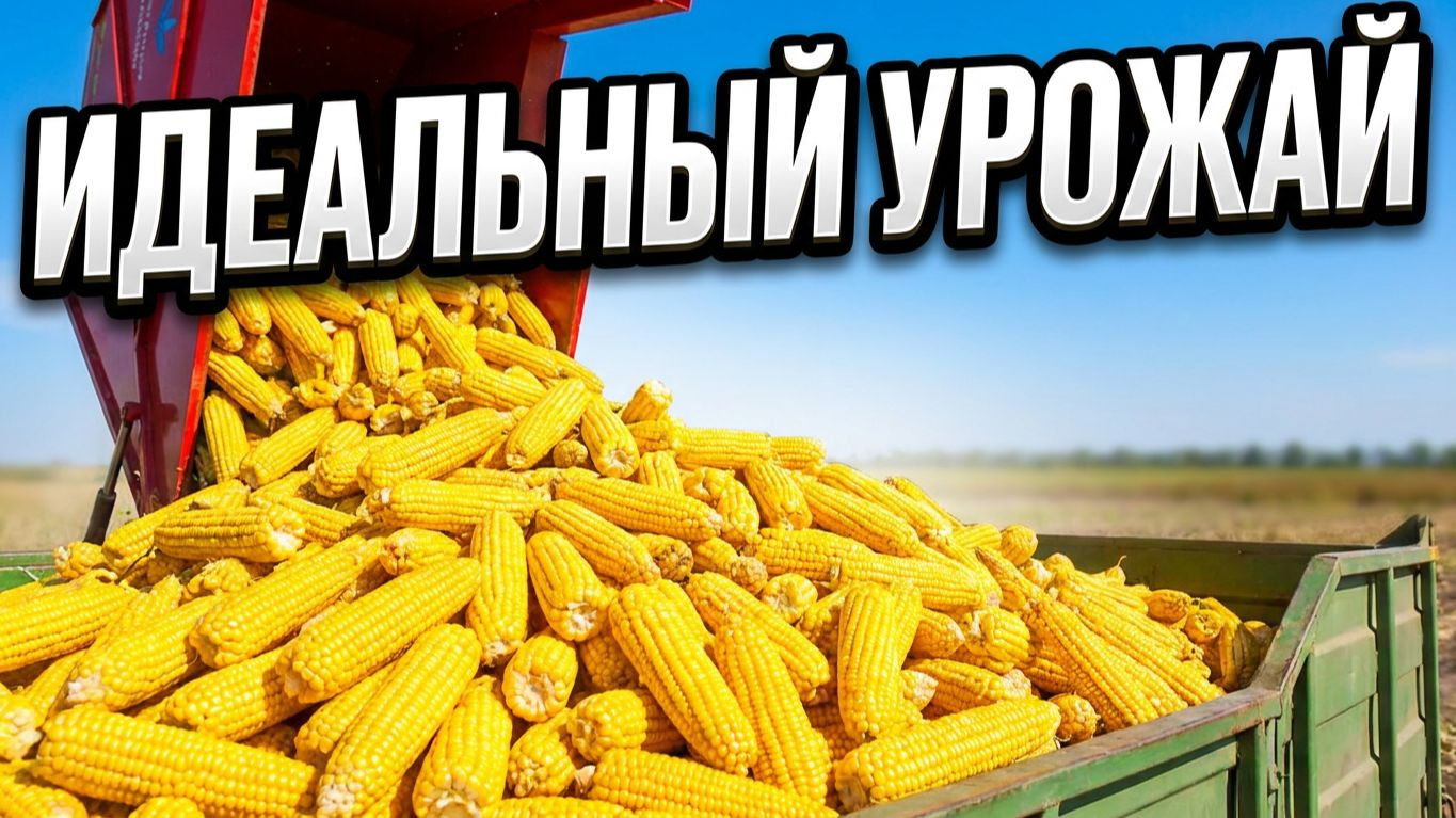 Техника
