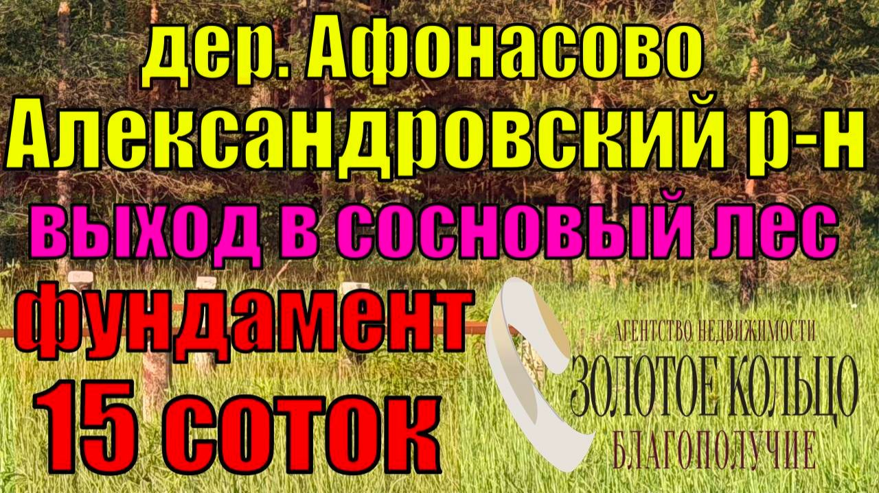 Шикарный участок 15 сот. с выходом в сосновый бор и рекой, д. Афонасово, Александровский р-н