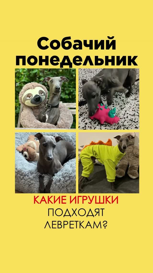 ИГРУШКИ ДЛЯ ЛЕВРЕТОК