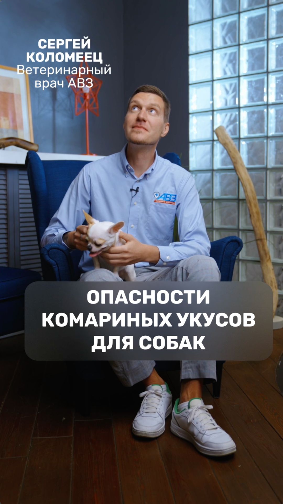 Опасности комариных укусов для собак