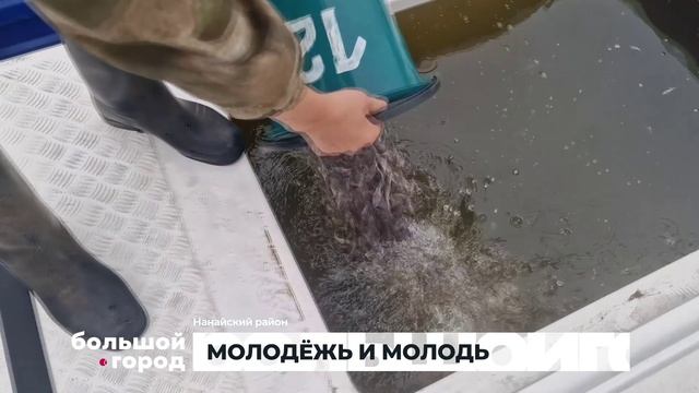МОЛОДЁЖЬ И МОЛОДЬ. Большой город 07/07/2026