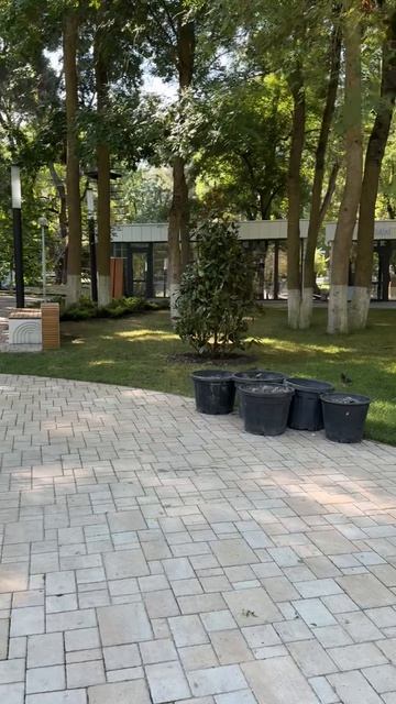 Новый сквер в с. Дивноморское
