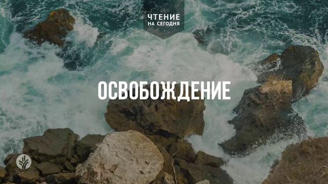 ОСВОБОЖДЕНИЕ  | АУДИО |	11	  июля 2026