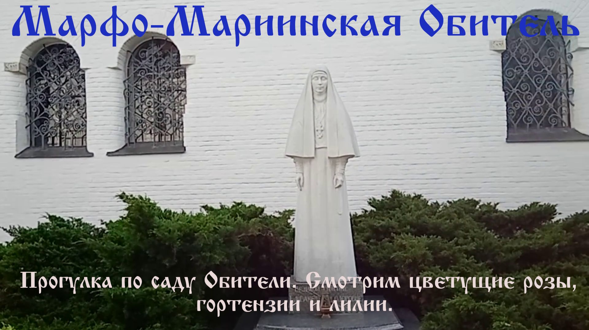 Наши прогулки